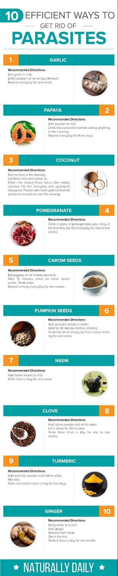 How to Get Rid of Parasites for Good : 12 Efficient Ways - Naturally Daily