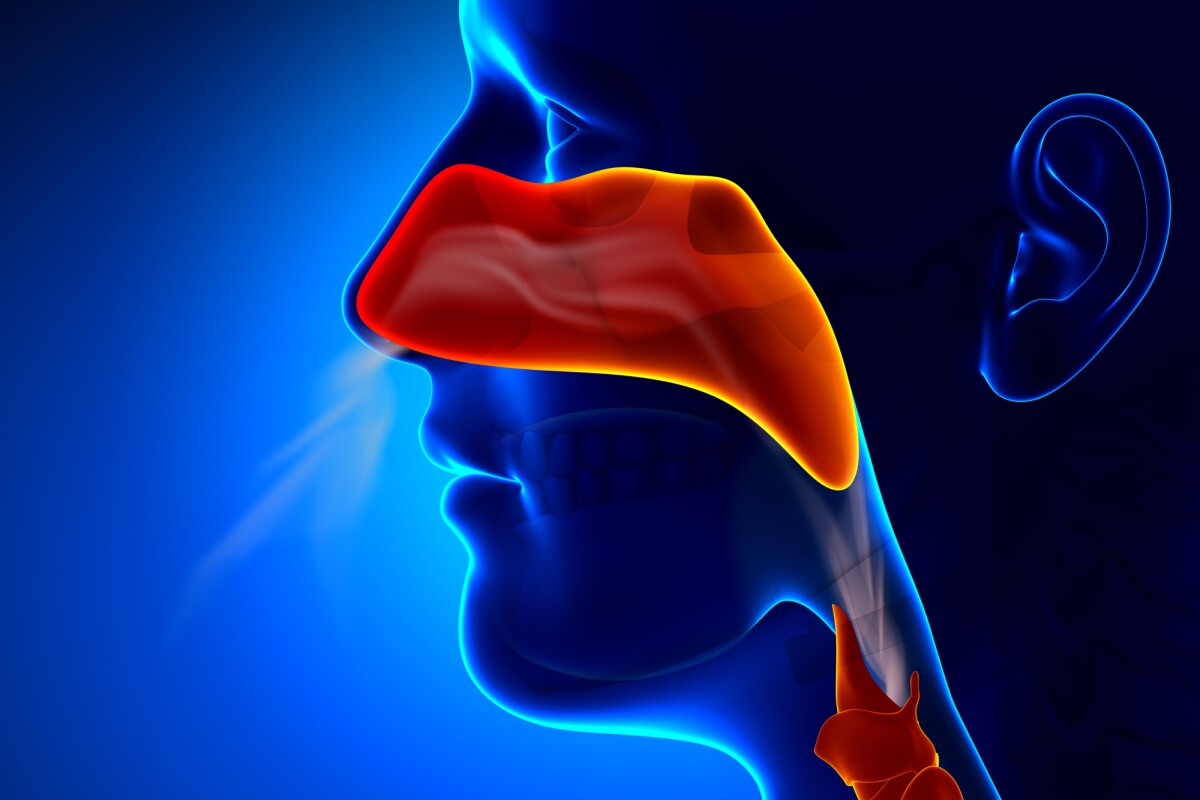 How To Get Rid Of Mucus Naturally 15 Home Remedies Naturally Daily