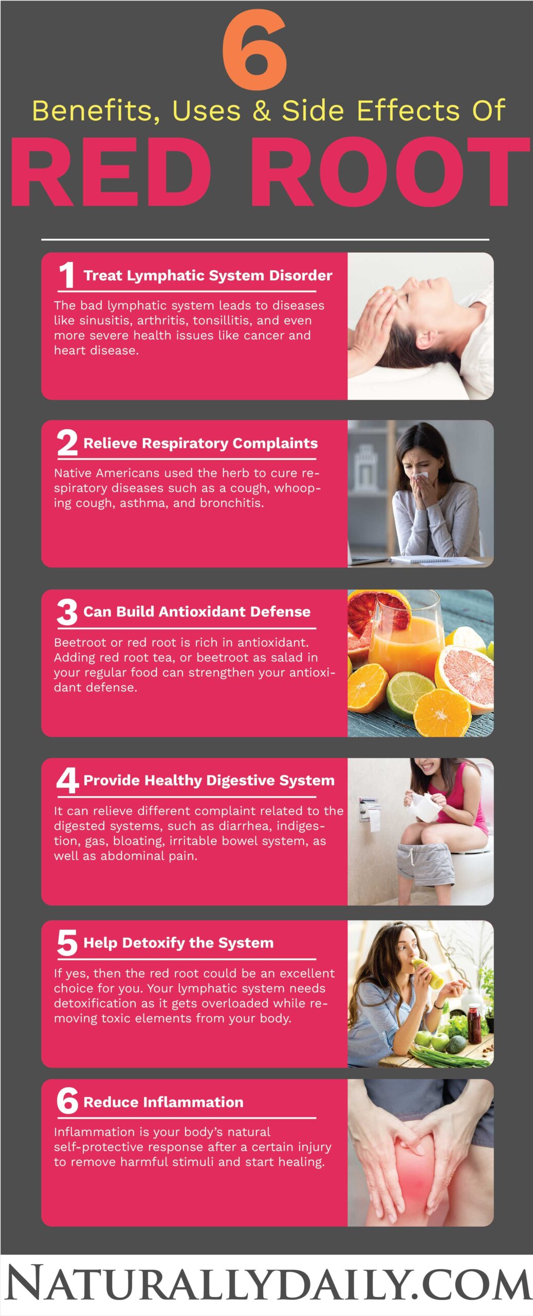 Red Root Benefits, Uses, and Side Effects: All You Need to Know ...