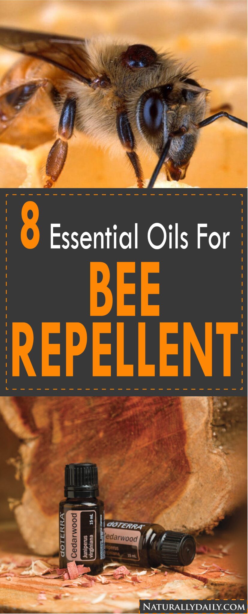 8 Essential Oils for Bee Repellent — Efficacy and Uses