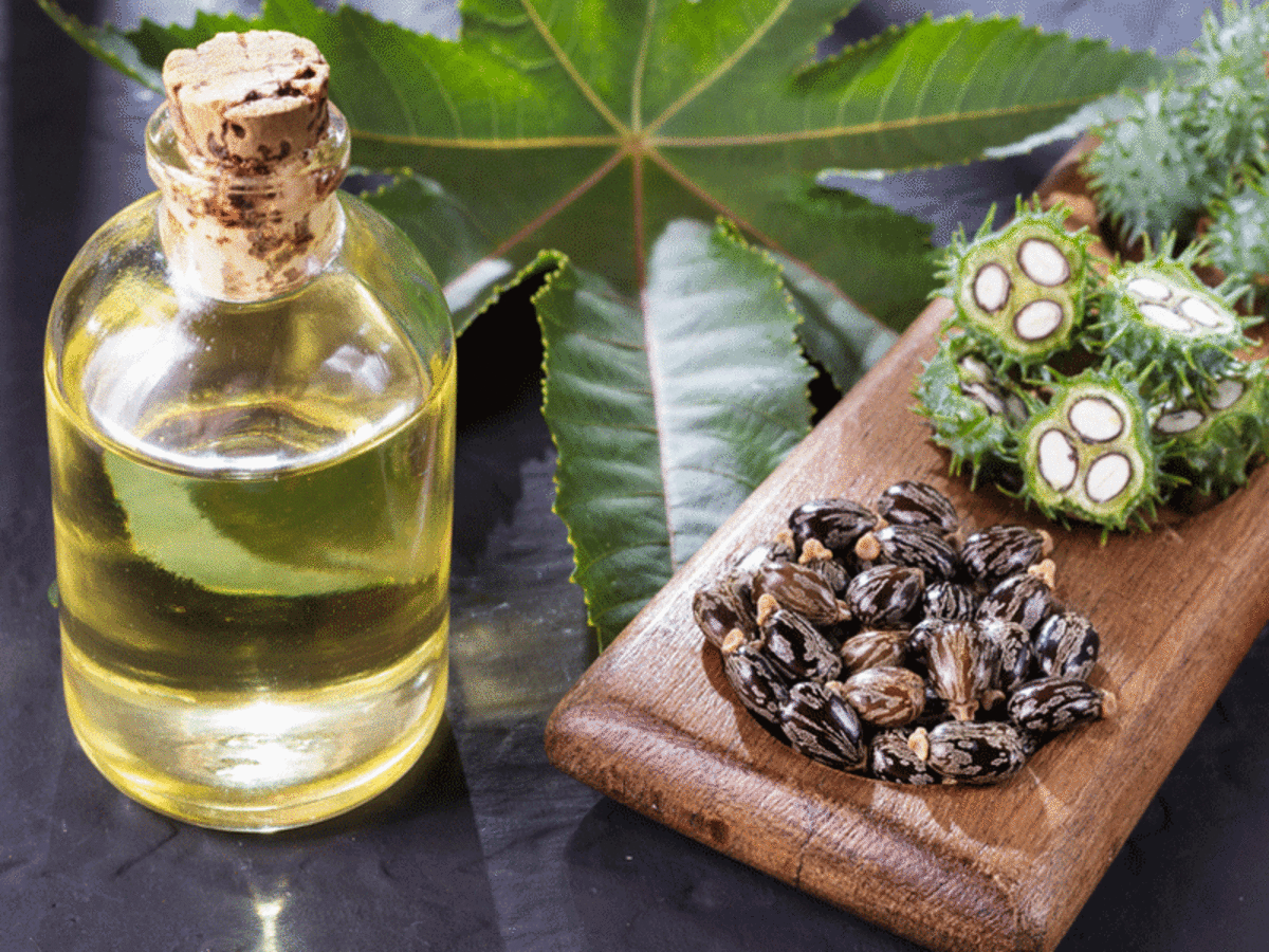 Ear Mites in Dogs: 16 Home Remedies That Work