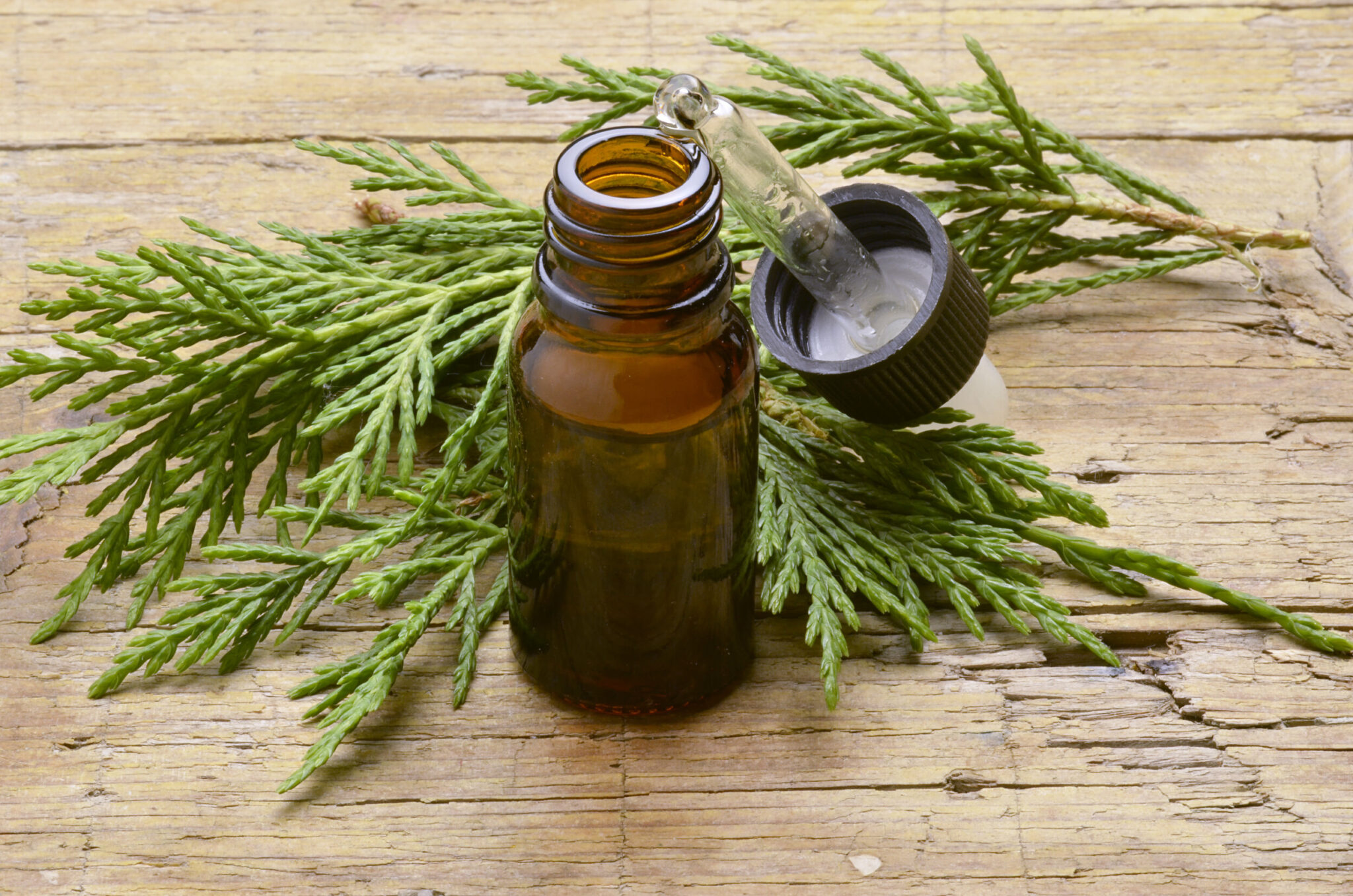 7 Essential Oils for Bladder Spasms or Interstitial Cystitis