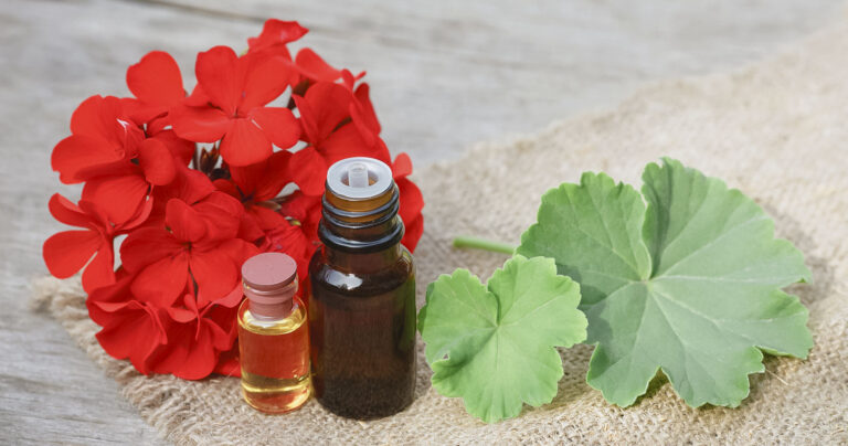 13 Essential Oils for Rosacea and How to Use Them - Naturally Daily