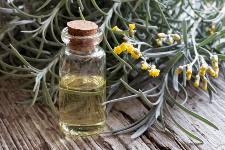 10 Essential Oils for Bone Healing and Broken Bone Care