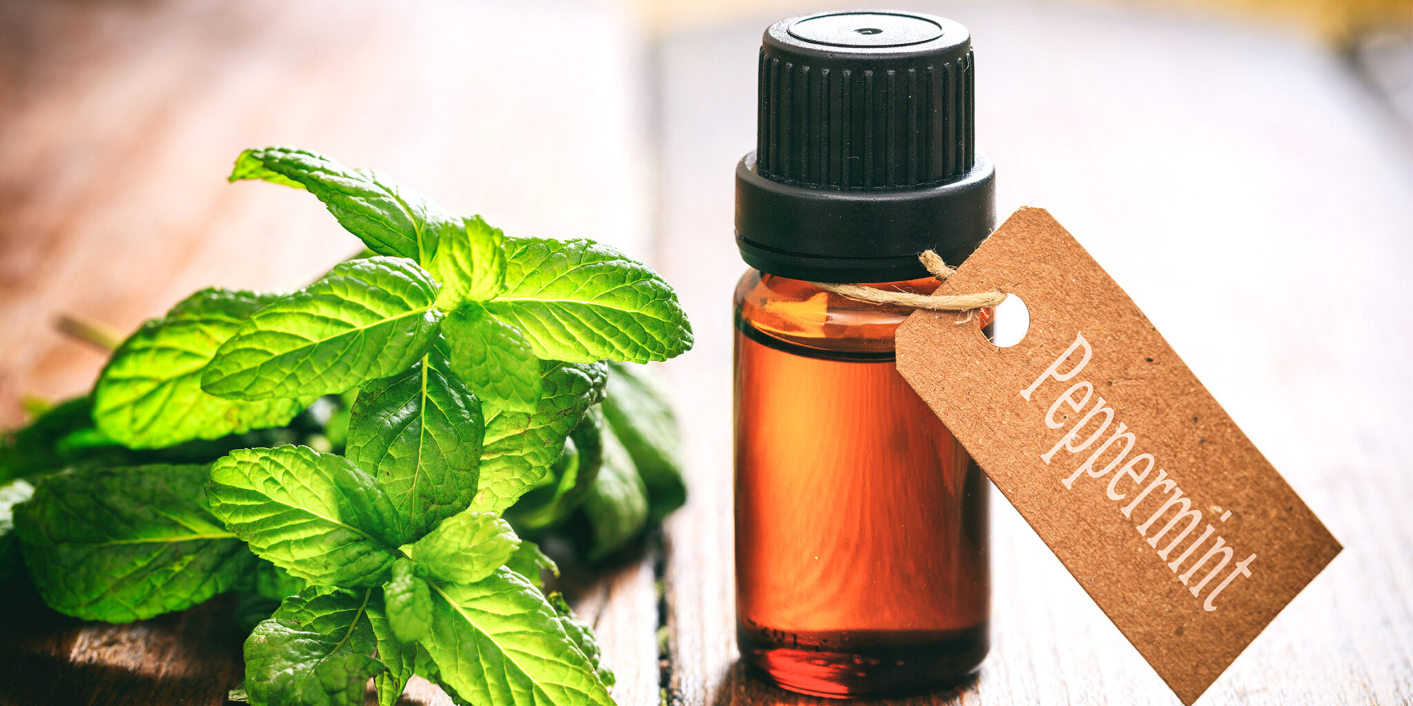 10 Best Essential Oils For Moth Repellent: Closet, Clothes, Pantry - Naturally Daily