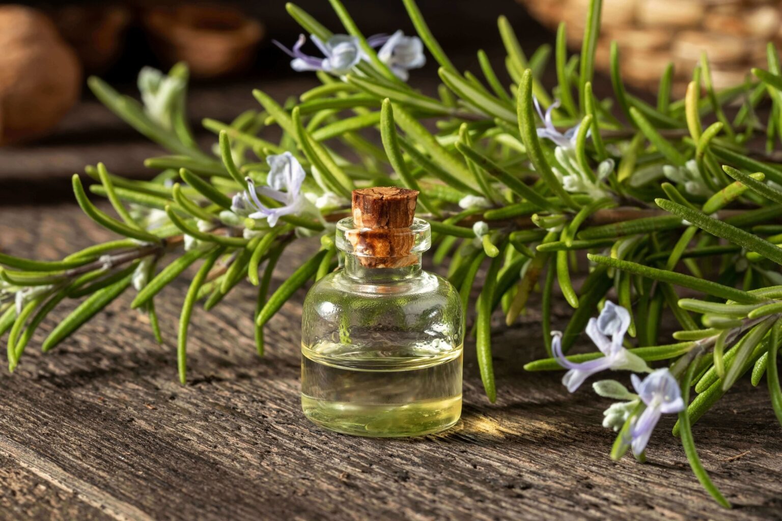15 Best Essential Oils for Focus, Concentration, and Memory